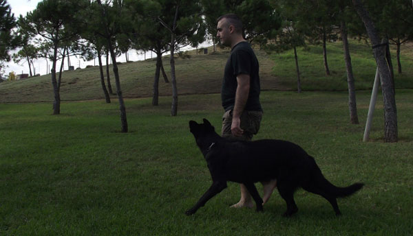 RadioCan: una radio para adiestrar y entretener a perros - Yorokobu