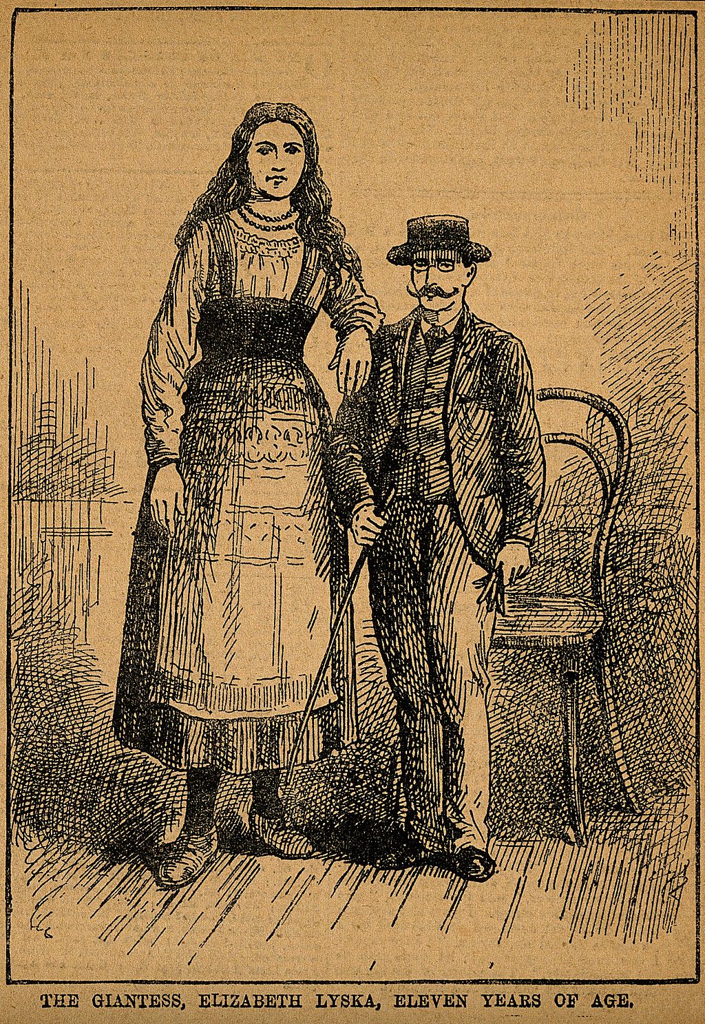 Las estadísticas anuales de Pornhub - Yorokobu